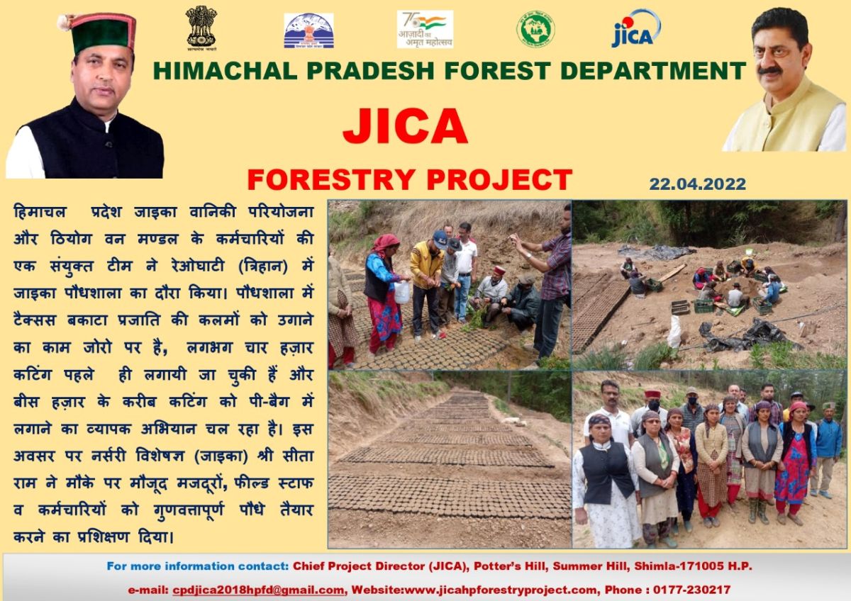 HP JICA Forestry Project || Shimla